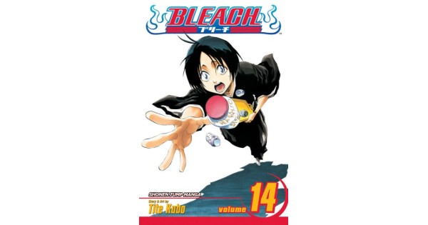 Bleach, Volume 14: White Tower Rocks